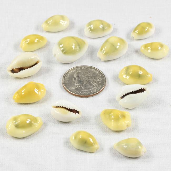 A problem has occurred.